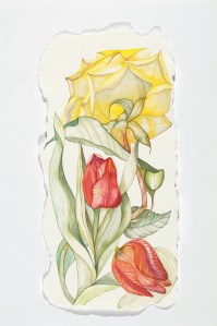 Marcia Mitchell | Watercolors of plants and flowers | Page 3