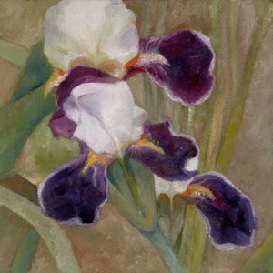 Marcia Mitchell | Watercolors of plants and flowers
